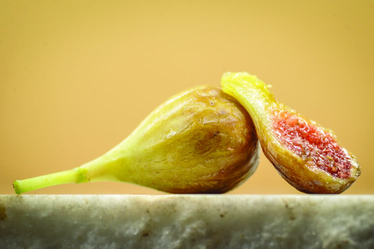 Fantastic Figs - Grit